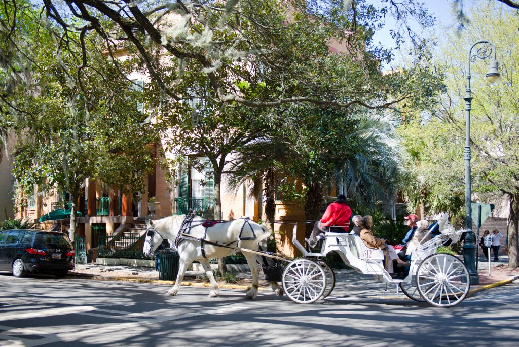 Savannah vs. Charleston – TrailBlazer Magazine