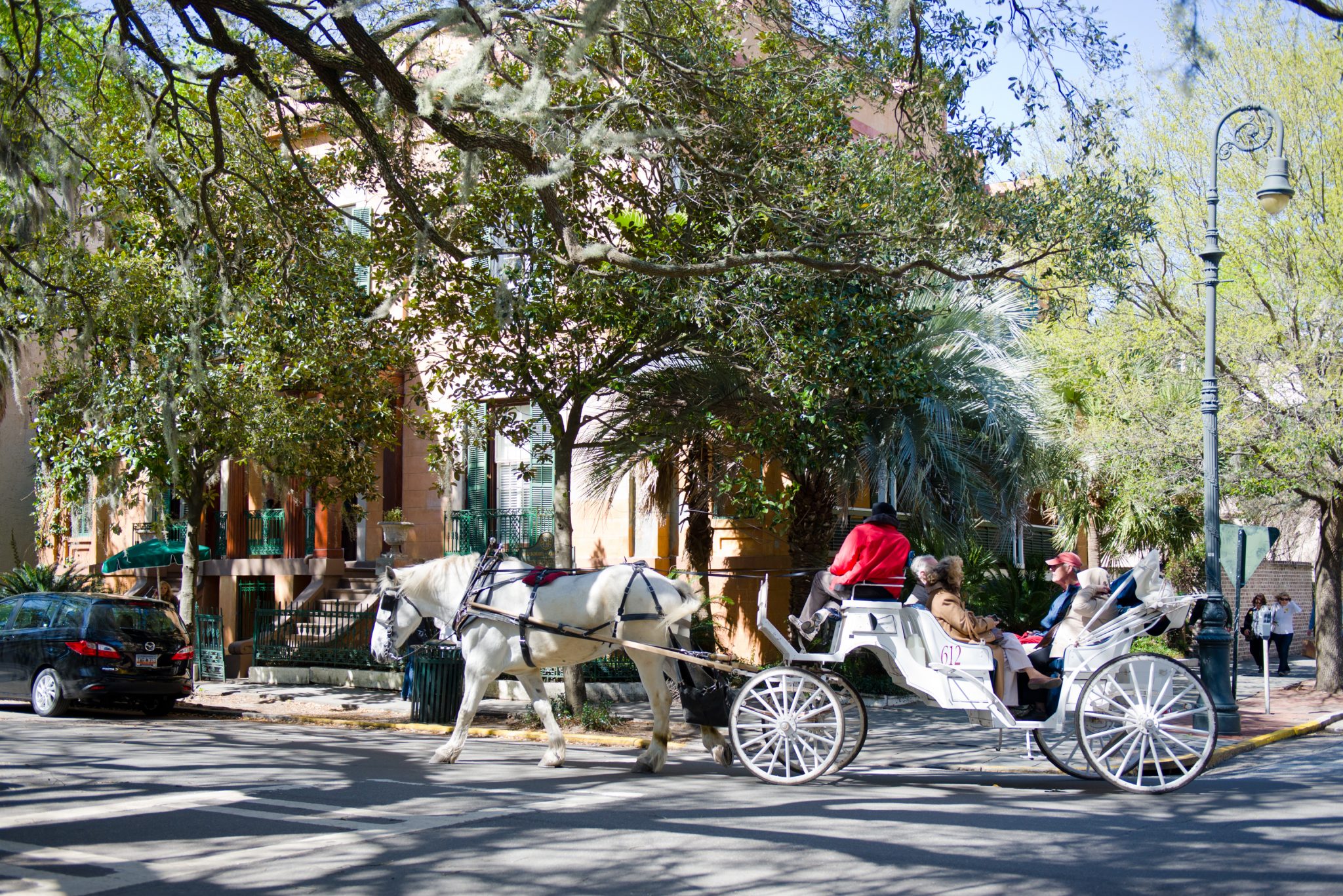 Savannah vs. Charleston – TrailBlazer Magazine