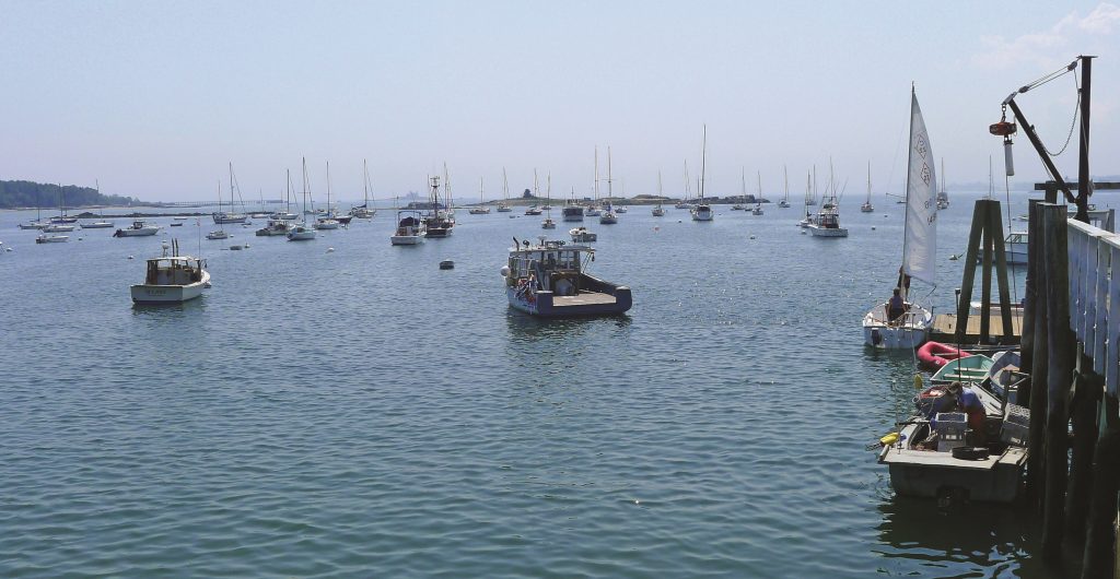 Southern Maine – TrailBlazer Magazine