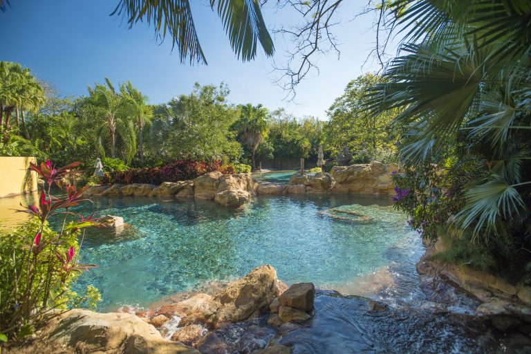 DISCOVERING ORLANDO’S DISCOVERY COVE® – TrailBlazer Magazine