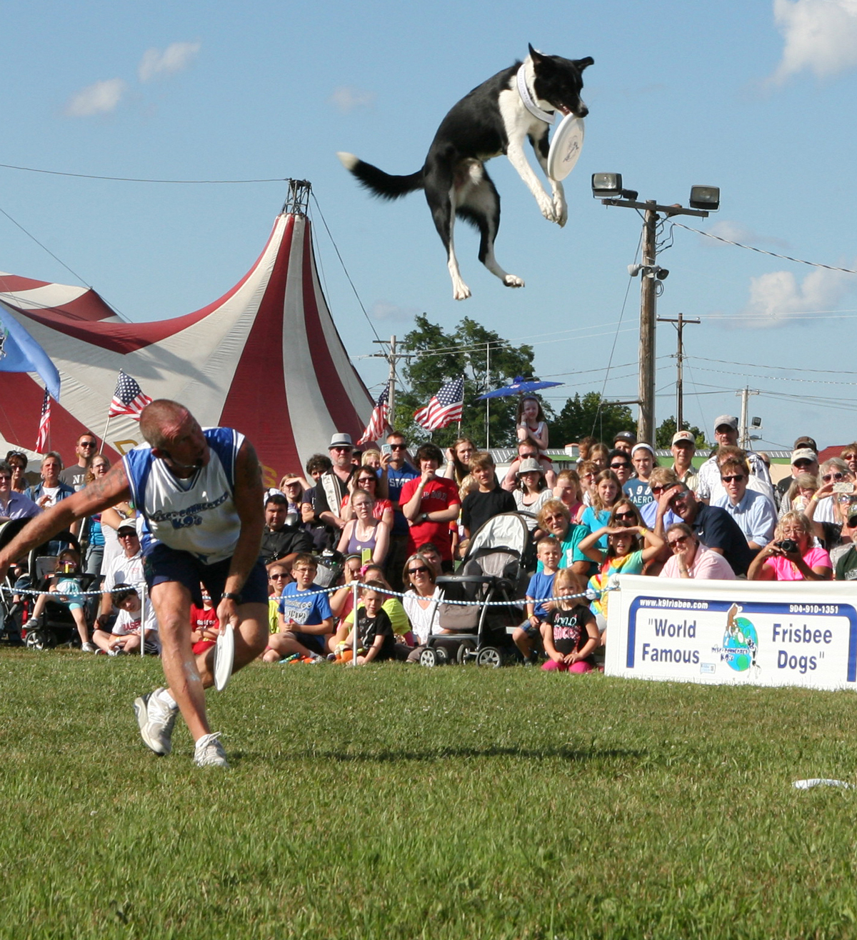 On the Road: DiscConnected K9s – TrailBlazer Magazine