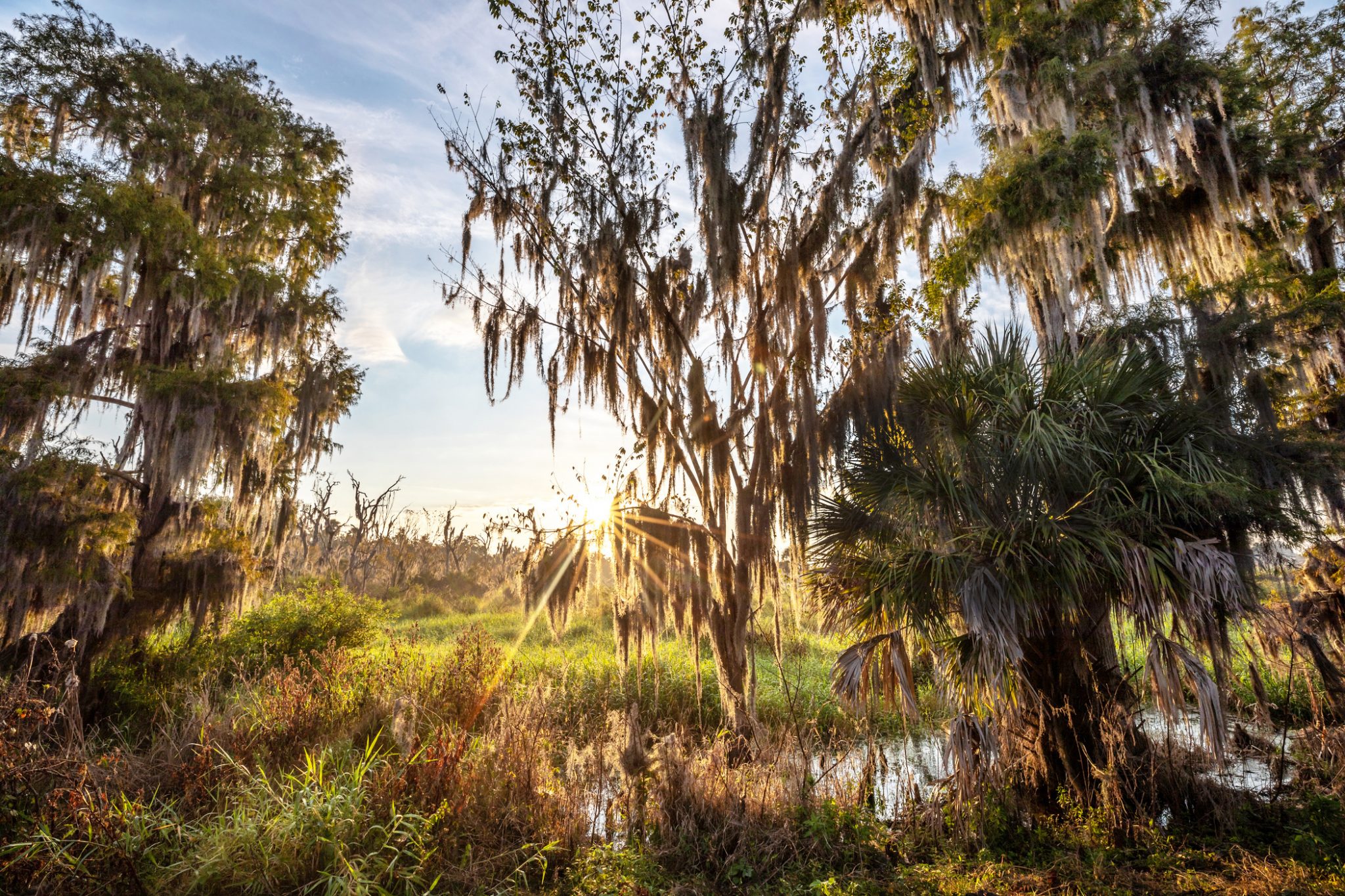 Central Florida's Great Outdoors - TrailBlazer Magazine