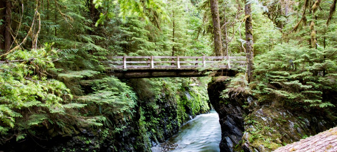 Plan a visit to these U.S. based Rainforests – TrailBlazer Magazine