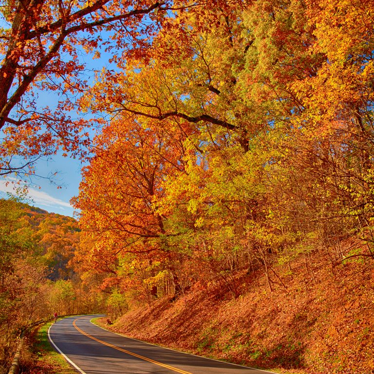 10 Top National Parks for Fall Foliage – TrailBlazer Magazine