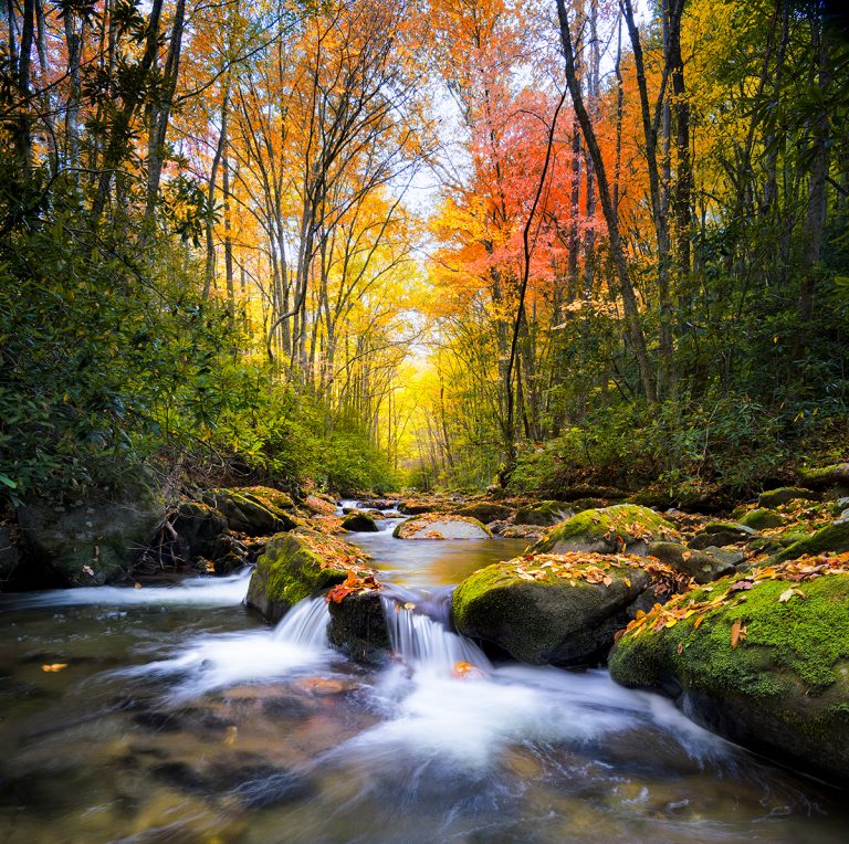 10 Top National Parks for Fall Foliage – TrailBlazer Magazine