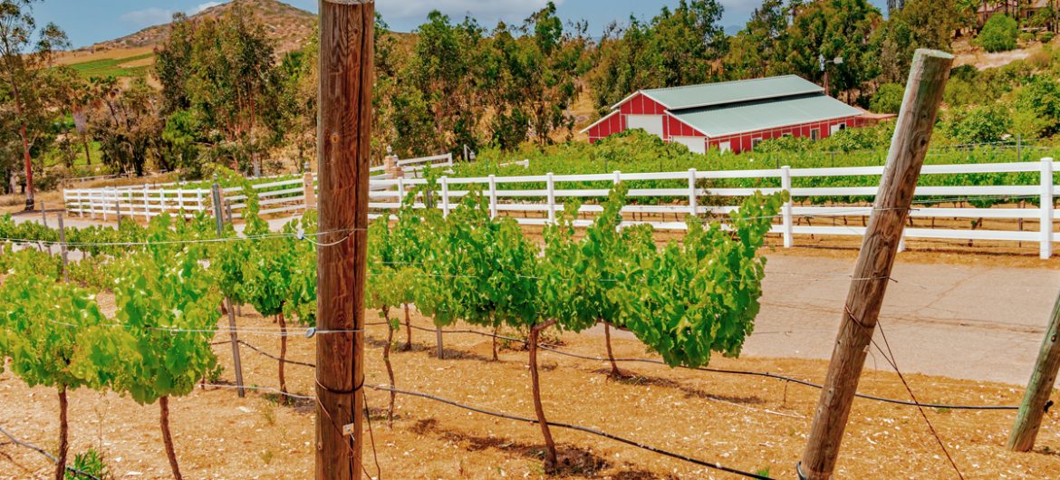 The 10 best places to see Fall foliage in the Northeast – TrailBlazer Magazine