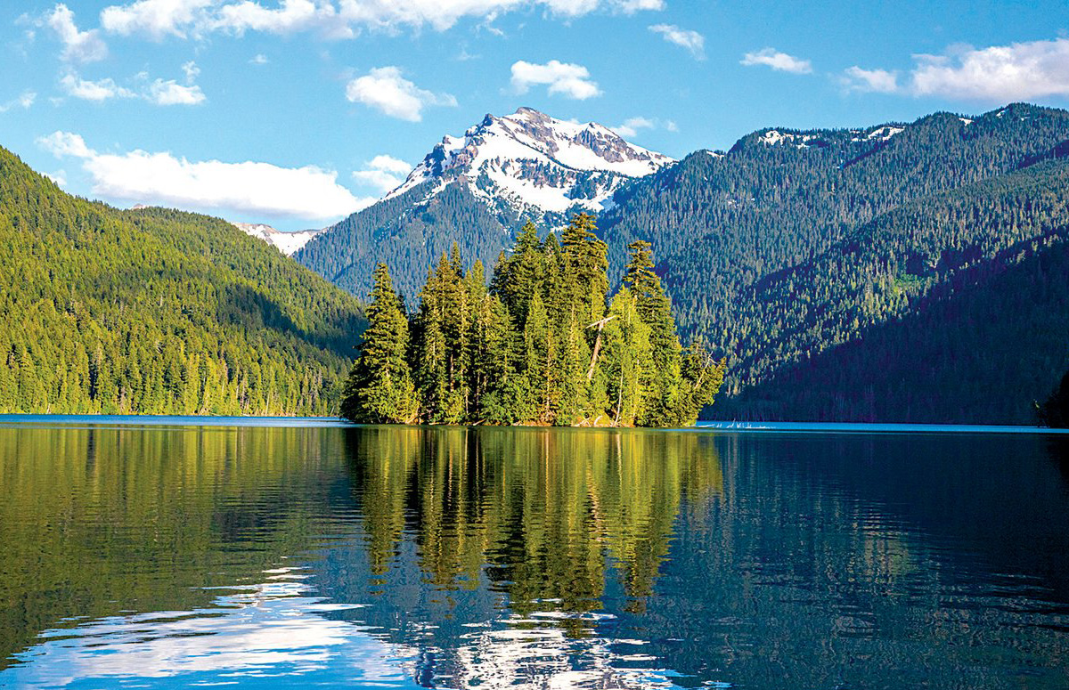 Exploring our National Forests – TrailBlazer Magazine