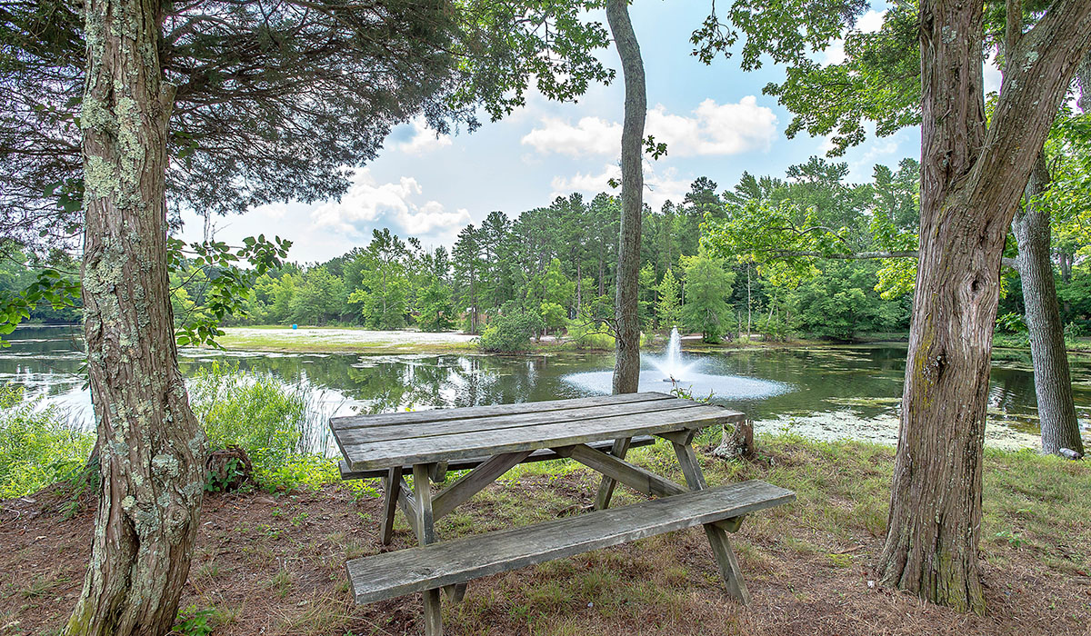 Seven Ways to Celebrate July – TrailBlazer Magazine