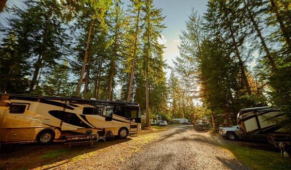 Top Spots for 100 Days of Camping Fun – TrailBlazer Magazine